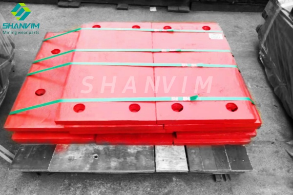 Understanding cheek plate