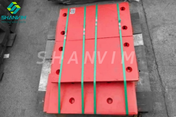 Understanding cheek plate